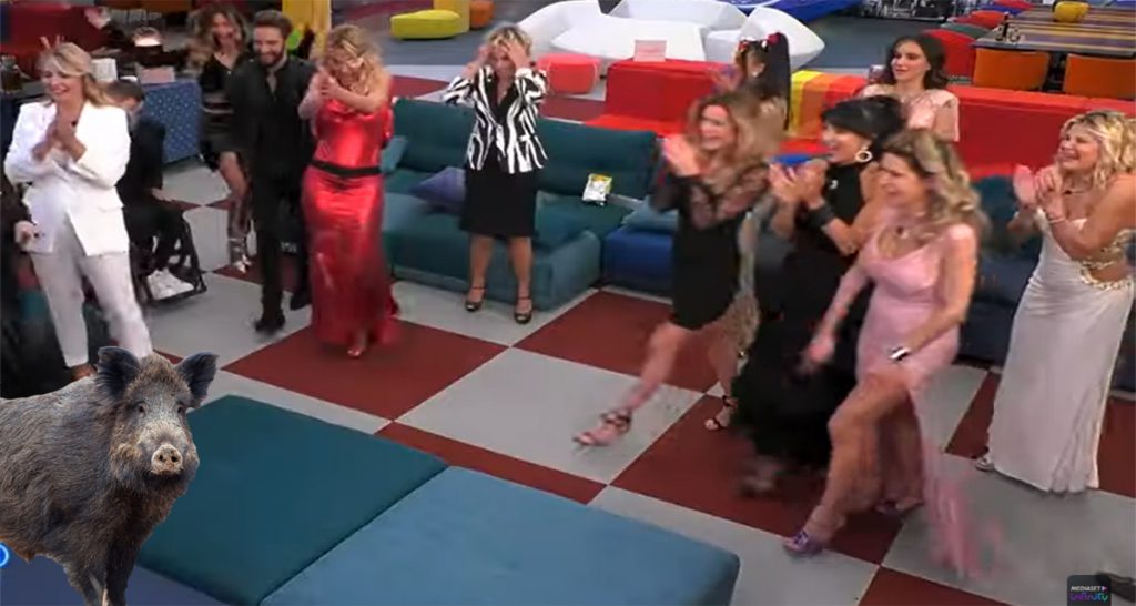 Cinecittà. Cinghiale fa irruzione nella casa del GF Vip e alza il QI medio della casa | Lercio